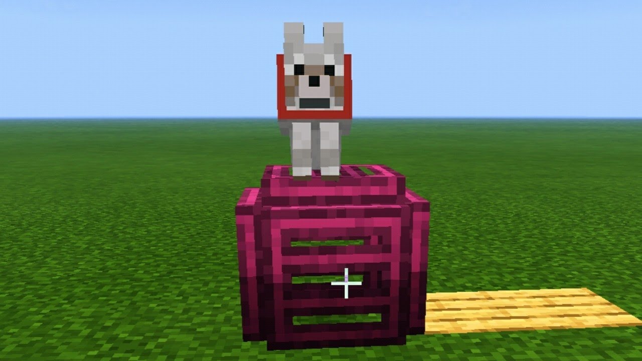 my minecraft dog in real life - YouTube