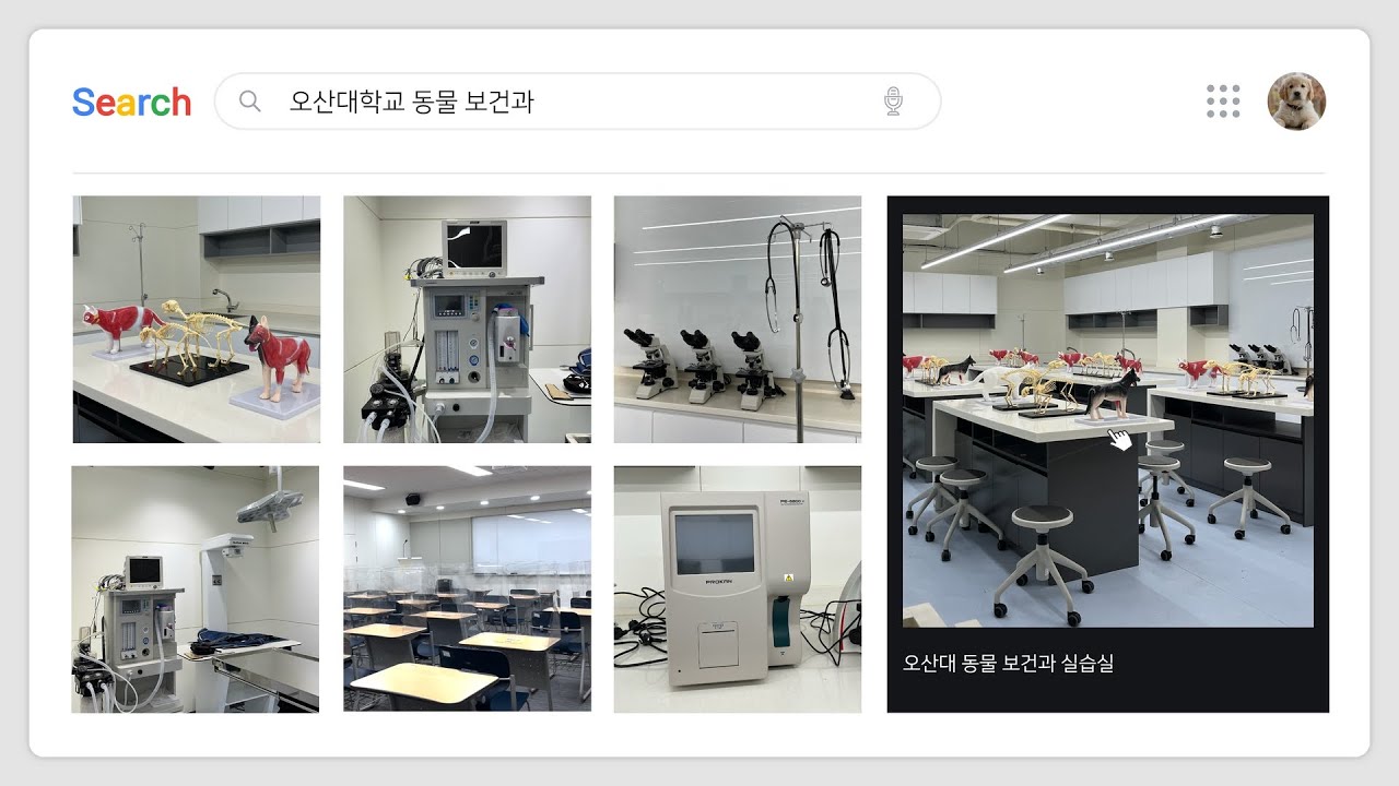 동물보건과 실습실 소개｜오산대학교 Osan University - YouTube
