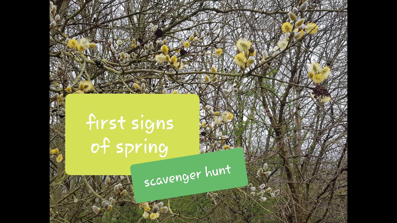 First Signs Of Spring Scavanger Hunt - Kids Looking For Spring - YouTube