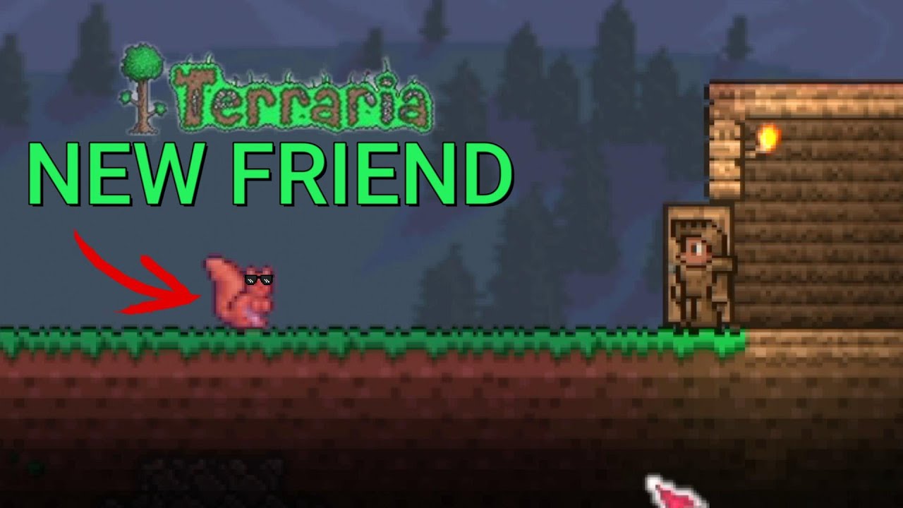 Terraria Solo Adventure: Surviving the Unknown and Making a Squirrel ...