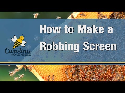 How To Make A Robbing Screen For Bee Hive
