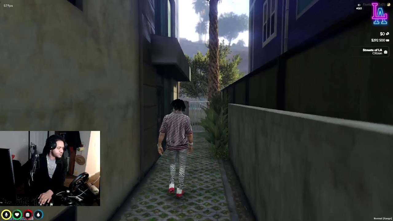 GTA FIVEM-STREETS OF LA PT 2 - YouTube