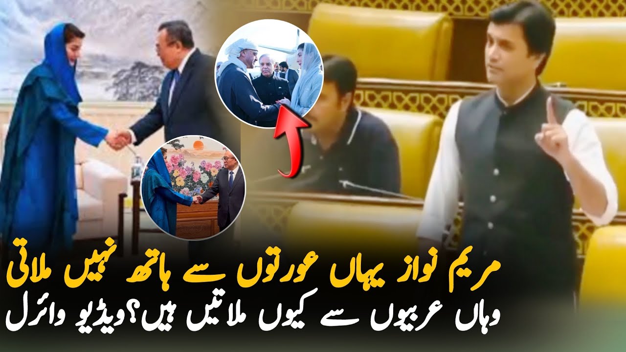 Why Did Maryam Nawaz Shake Hands With Arab Kings? Khalid Nisar Dogar's ...