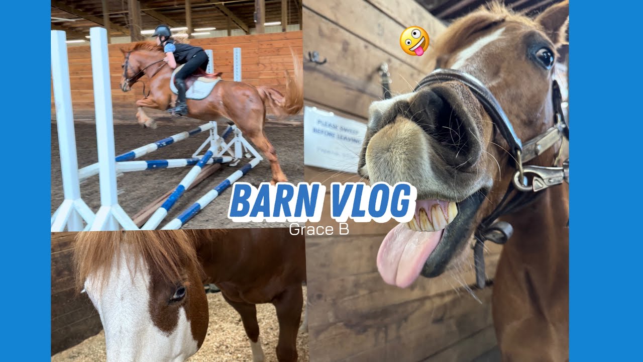 BARN VLOG || Grace B - YouTube