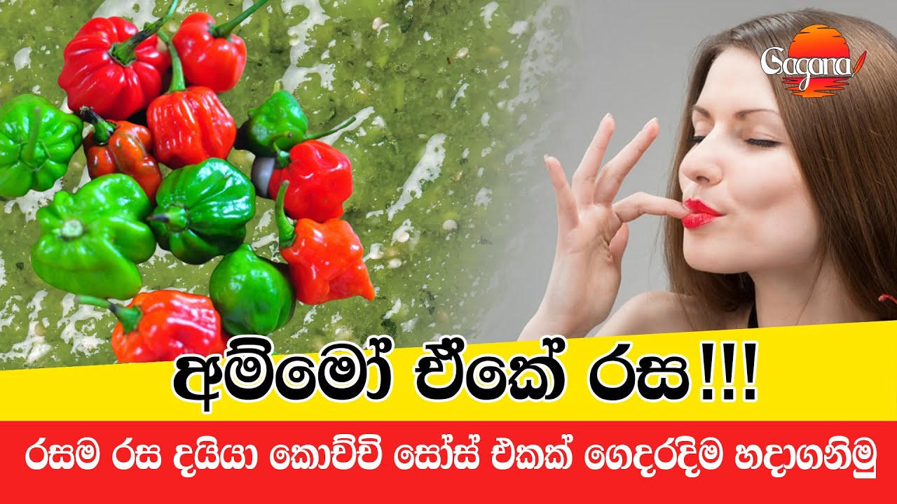 රසම රස දයියා කොච්චි සෝස් එකක් ගෙදරදිම හදා ගනිමු Youtube