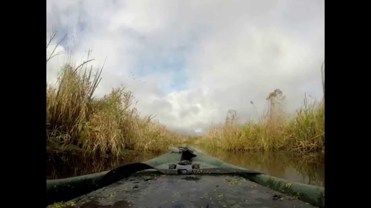 Geneva Swamp 10/18/14 - YouTube