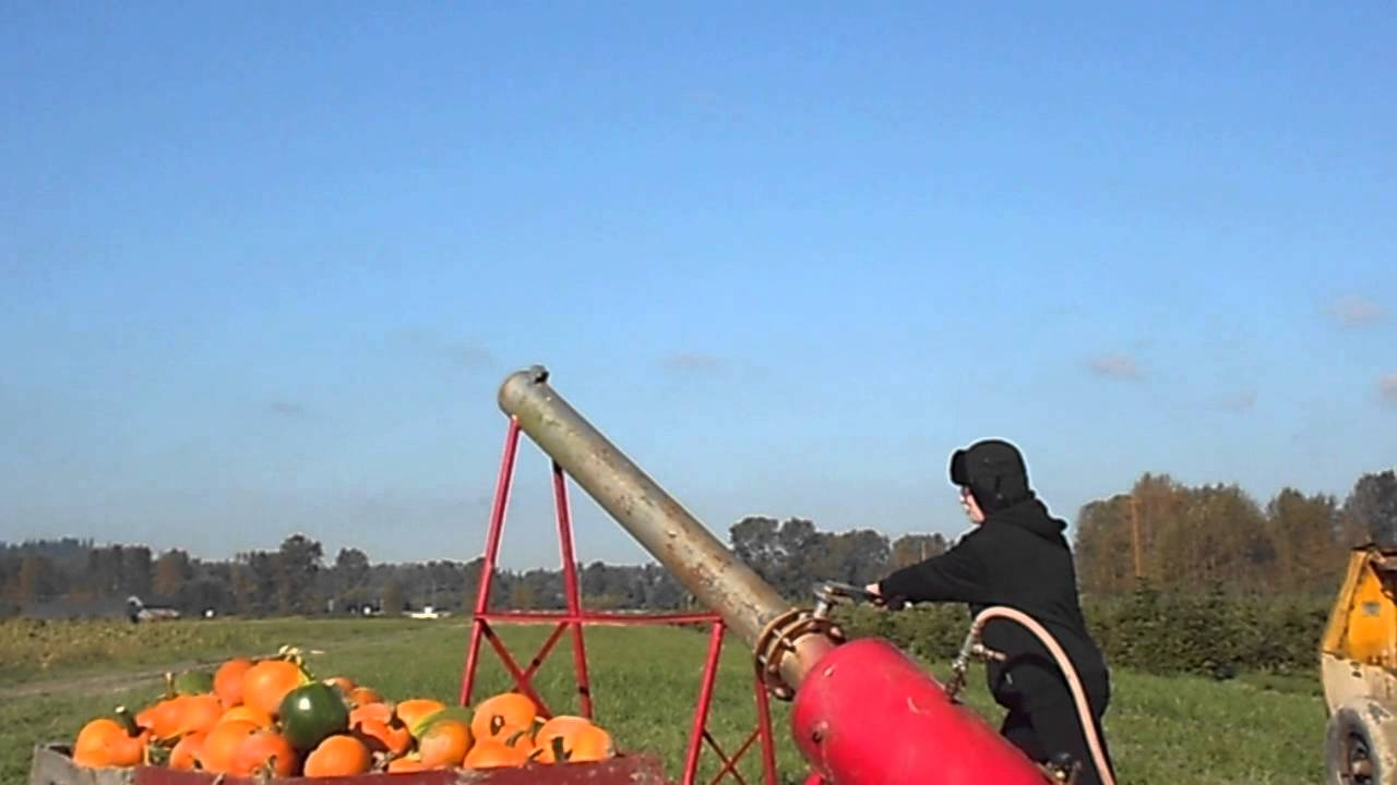 Me shooting a Pumpkin Cannon - YouTube
