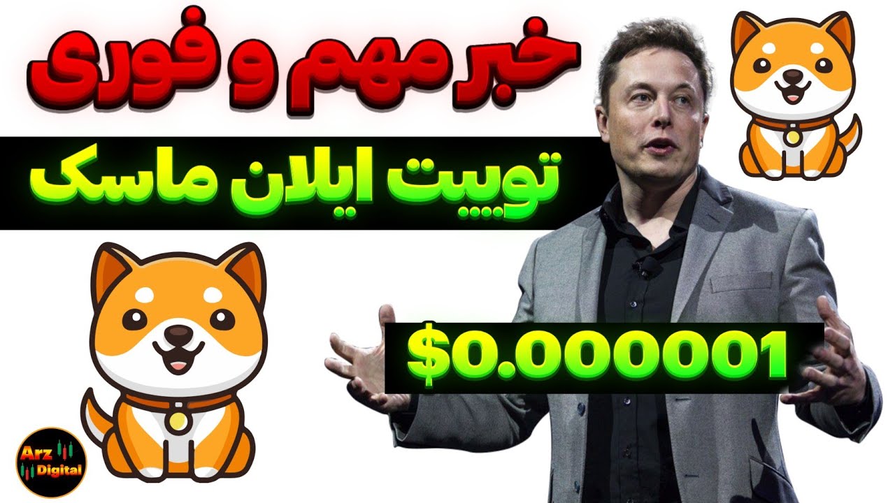 خبر فوری توییت دوباره ایلان ماسک برای بیبی دوج؟ سیگنال صعودی بیبی دوج