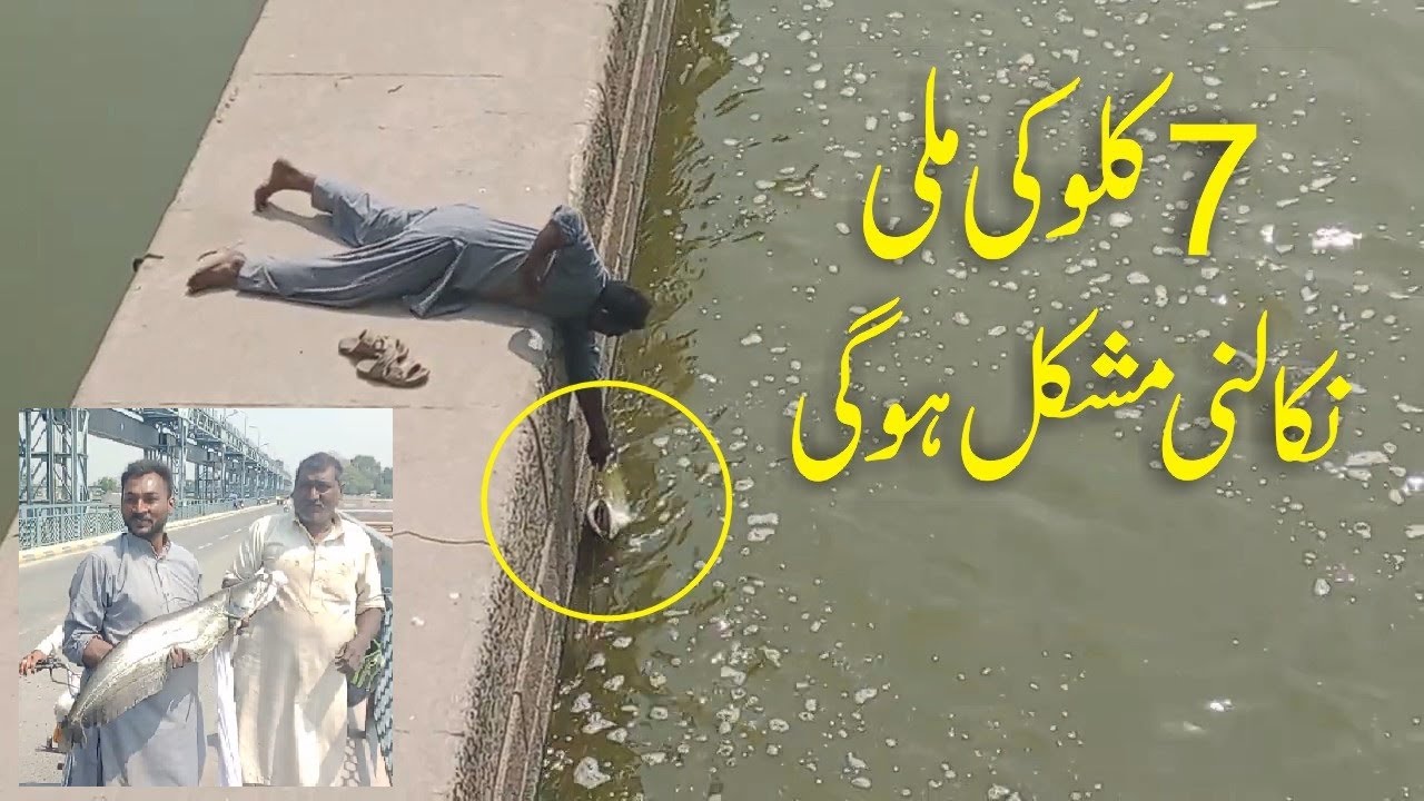 7 Kilo Ki Malli Fish Nikalna Mushkil Ho Gaya | Fishing in Pakistan ...