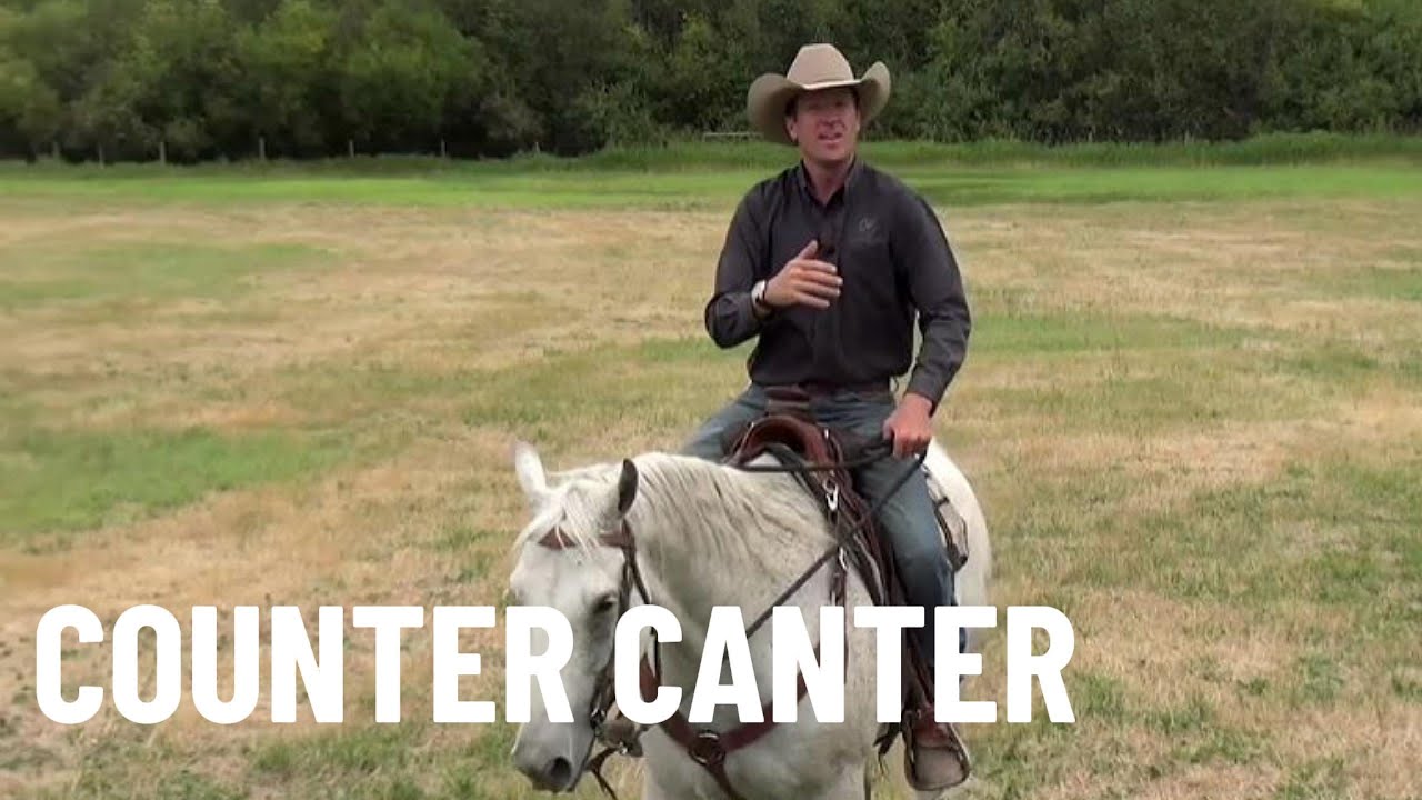All about the Counter Canter! - YouTube