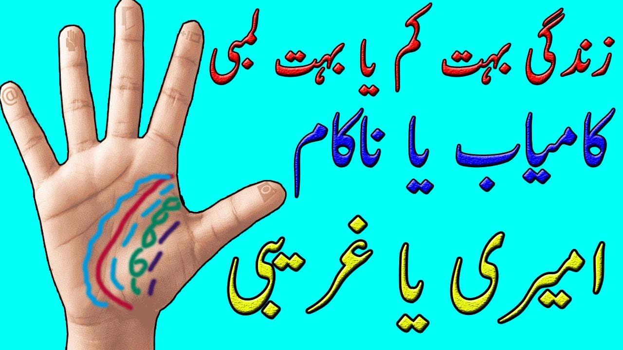 Life Line _ 30 Types Of Life Line _ Part 01 _ Best Palmist In Pakistan ...