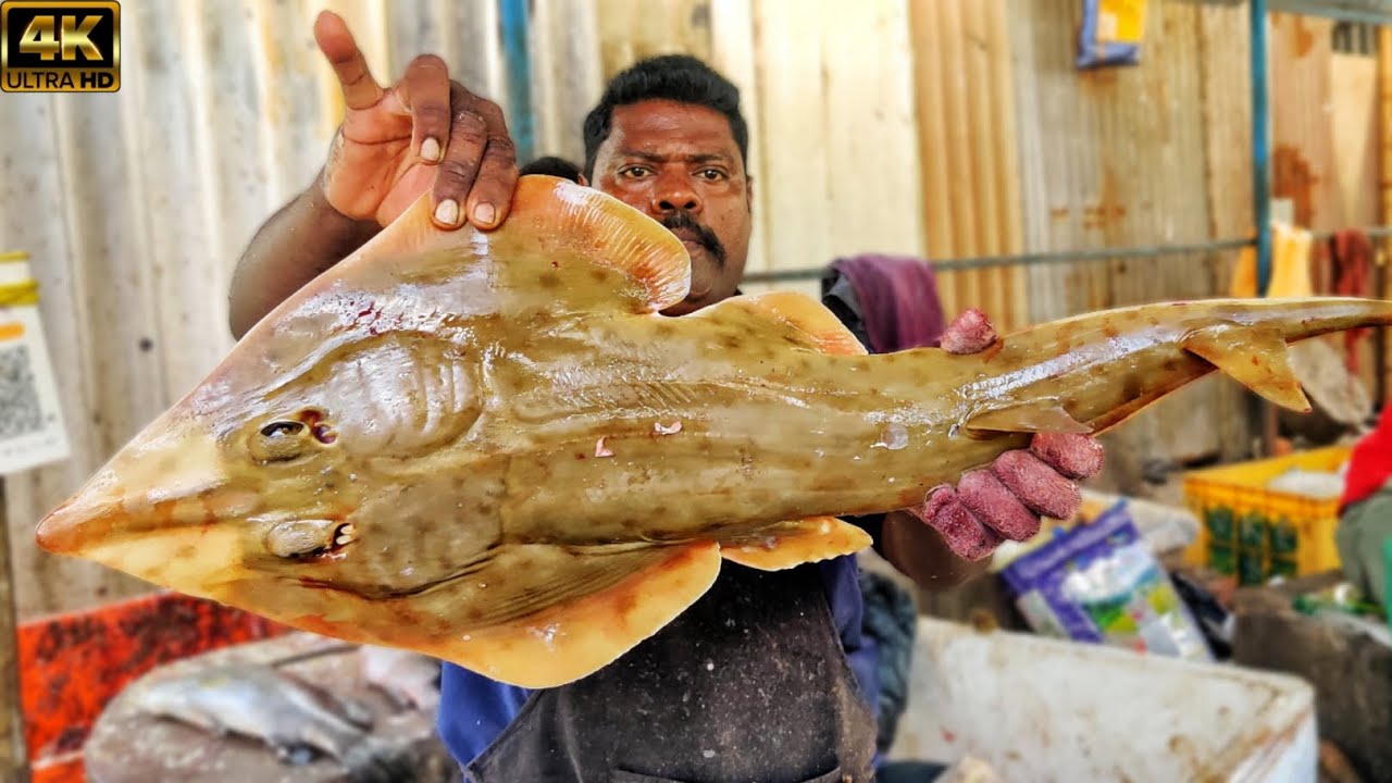 KASIMEDU SPEED SELVAM DRAGON RAY FISH CUTTING VIDEO - YouTube