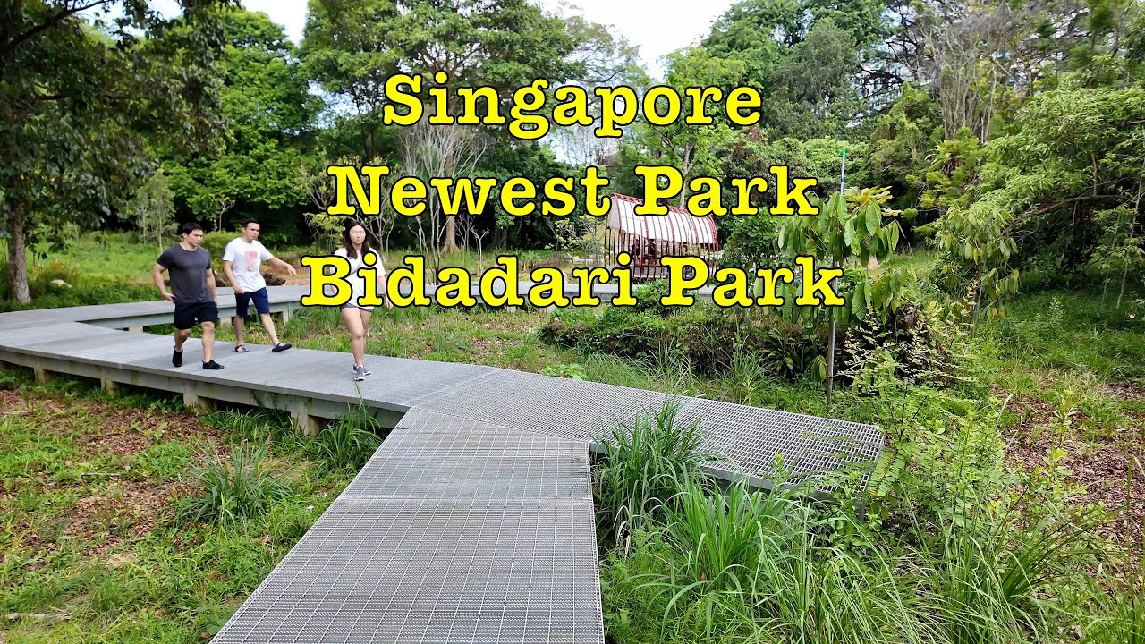 NEWEST Park in SG - Bidadari Park Walkthrough #park #walkingtour #new # ...
