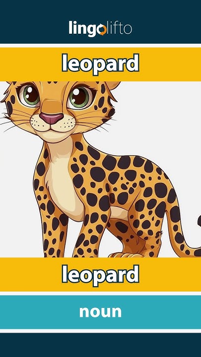 🇬🇧🇳🇴 leopard - leopard : vocabulary builder : learn English : la oss ...