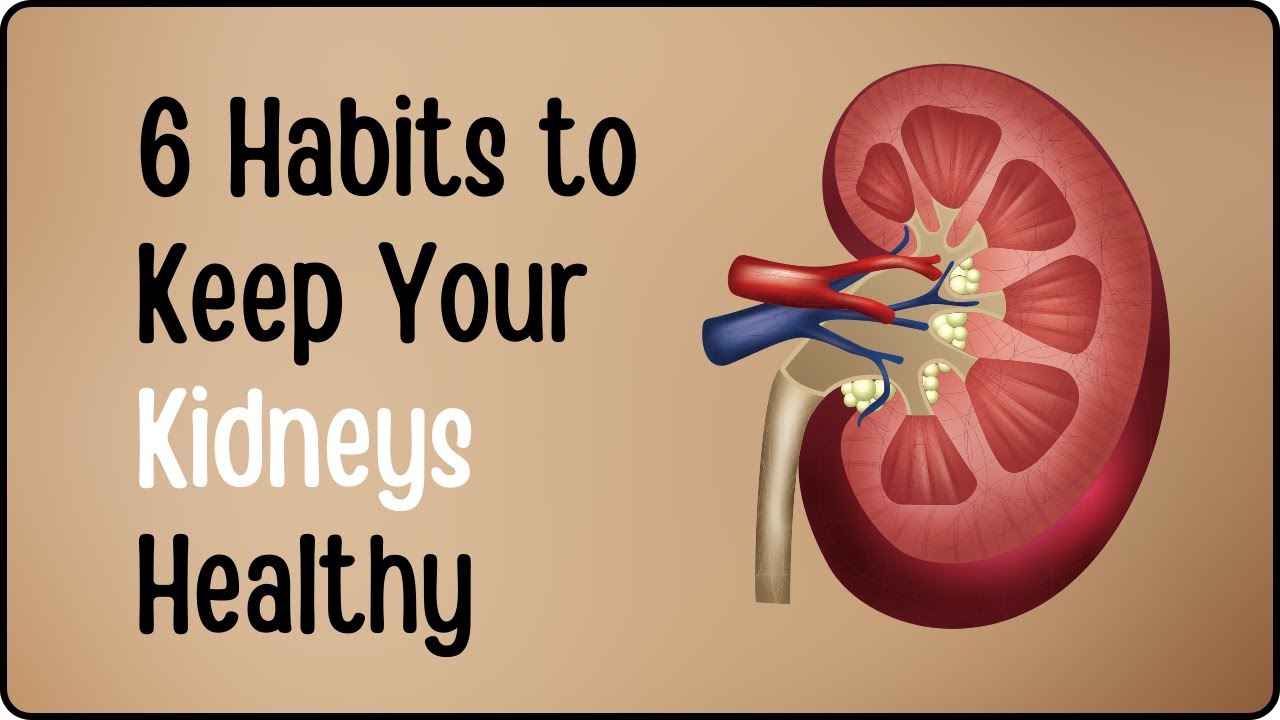 6 Life-Saving Habits to Keep Your Kidneys Healthy - YouTube