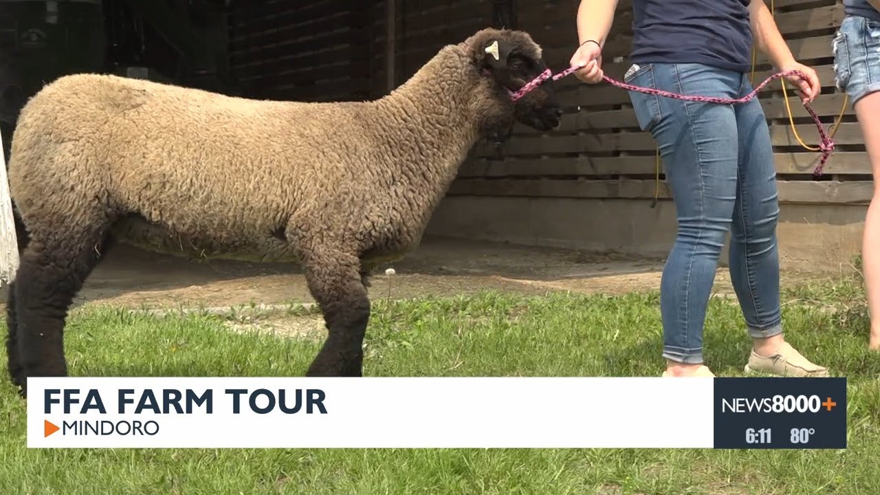 FFA farm tour - YouTube