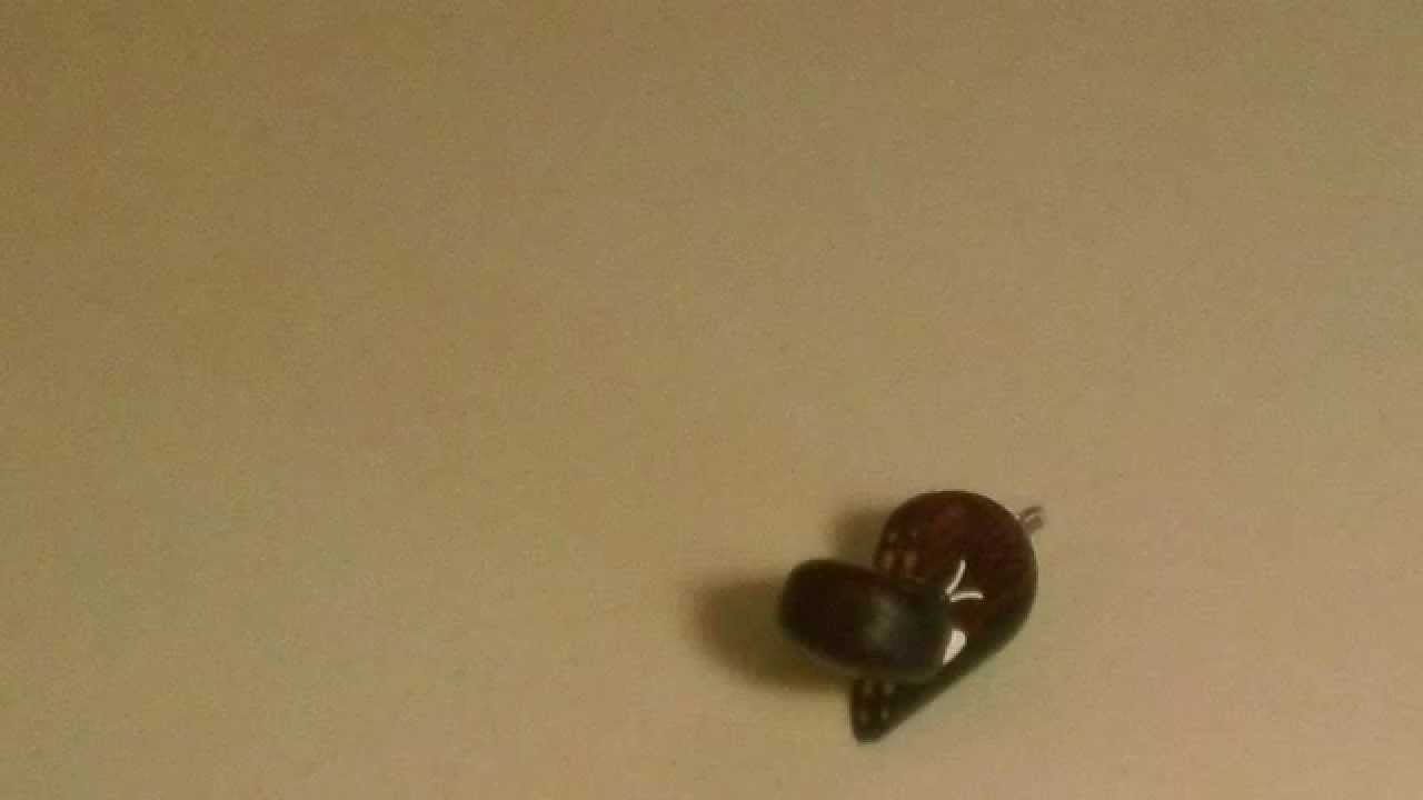 The Illusionist locket stop motion - YouTube