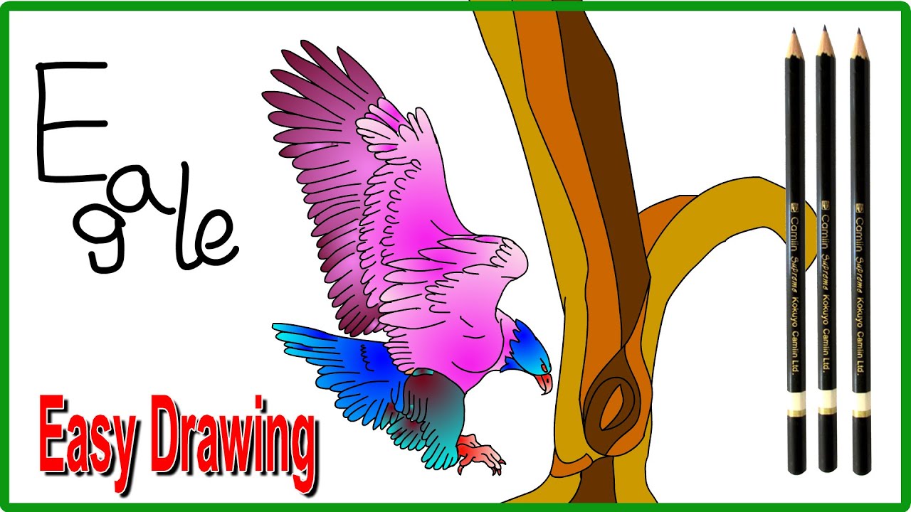 How to draw EAGLE Amazing //Tutorials/Drawing for Daily Practice-27 ...
