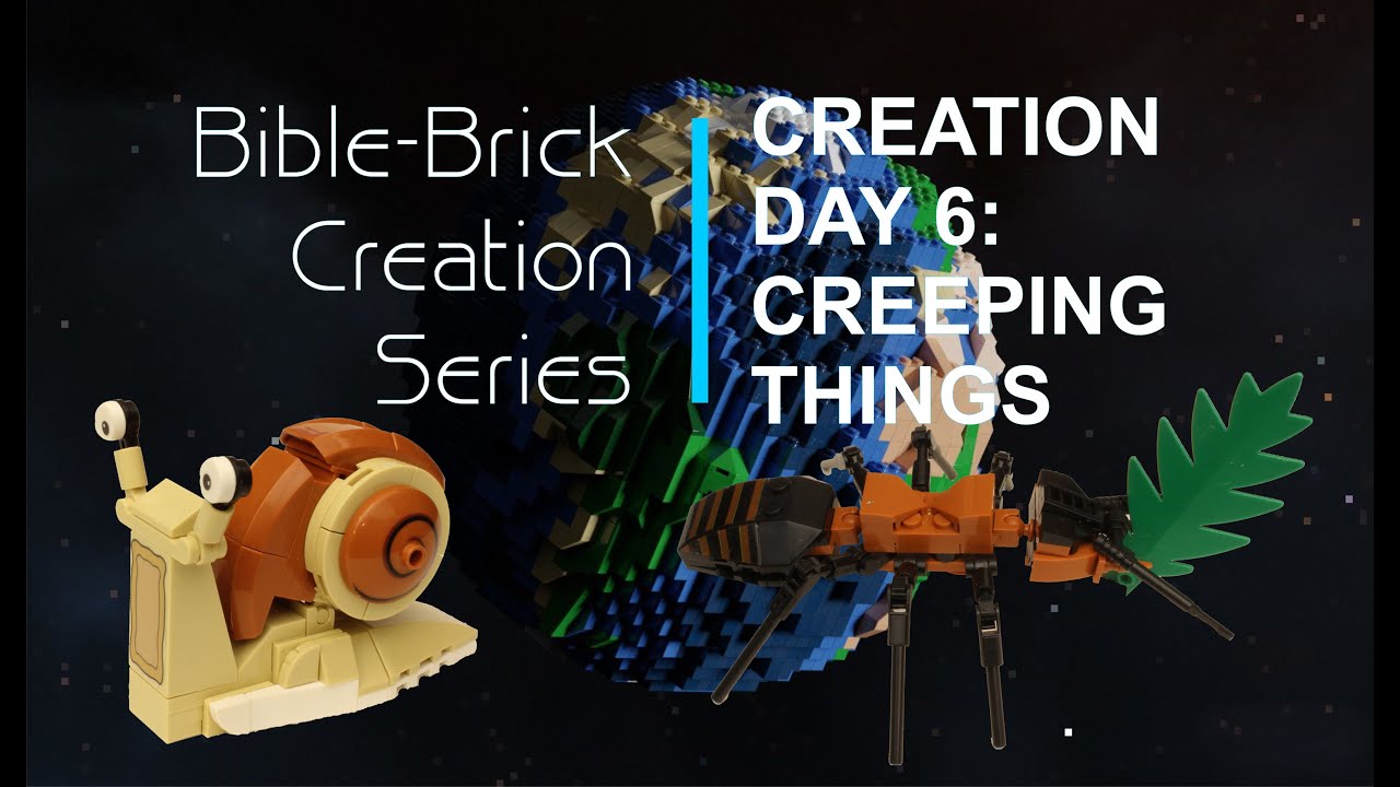 Creation Day 6: Creeping Things - YouTube