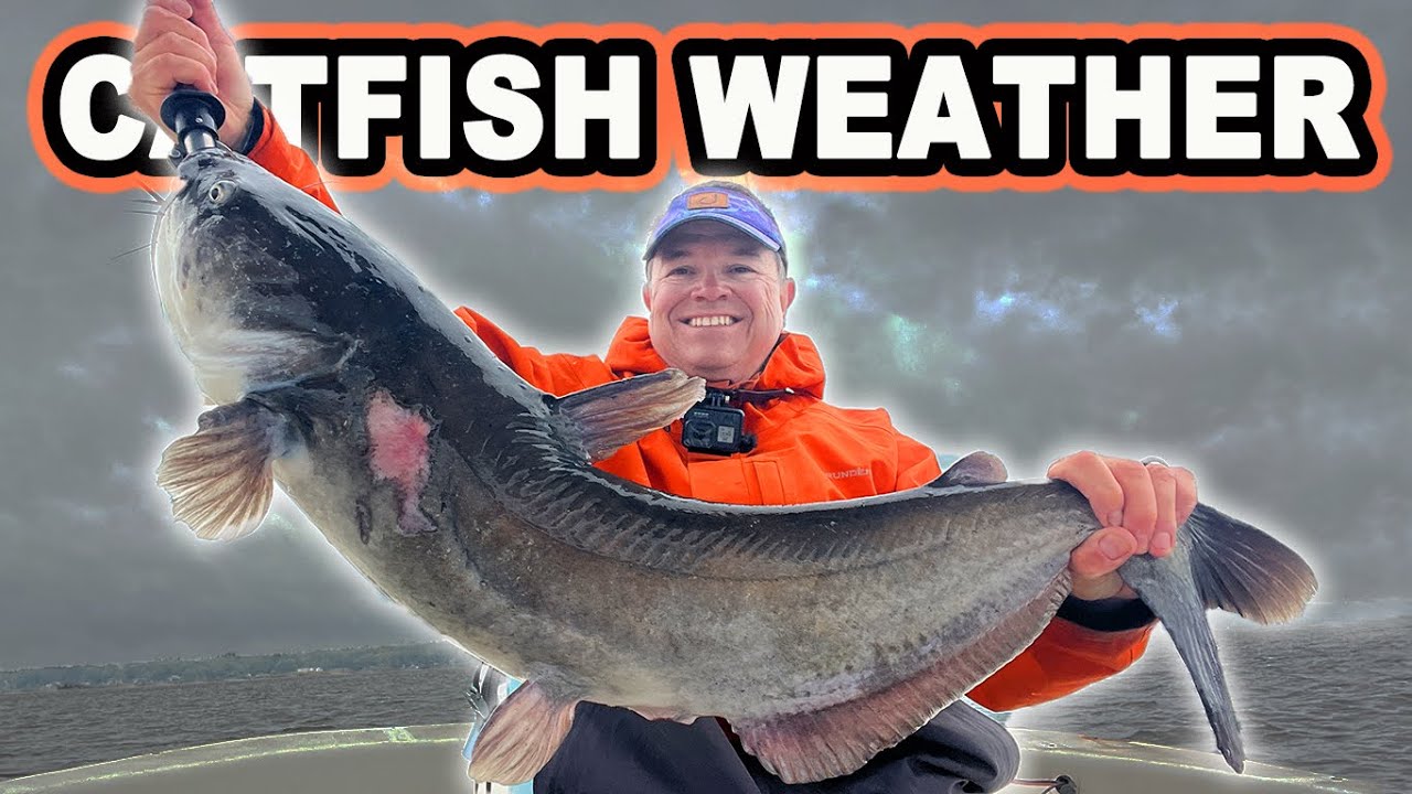 Is Changing Weather Good for Catfishing? - YouTube