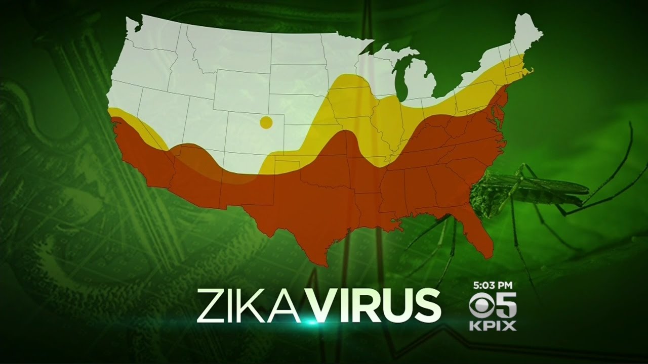 CDC's Zika Virus Prediction Map Now Includes Bay Area - YouTube