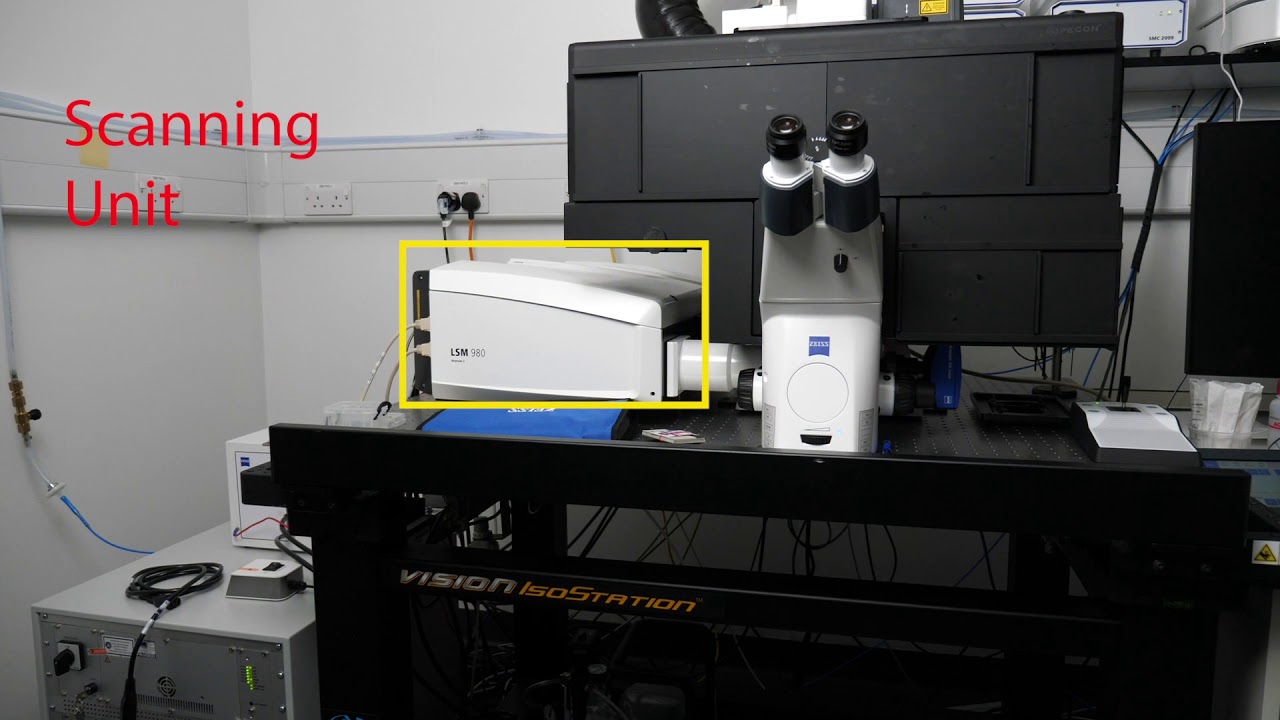 Zeiss 980: overview - YouTube