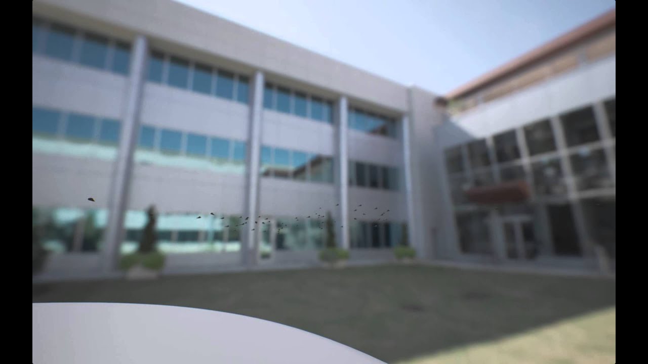 Basic bird flocking behaviour - YouTube