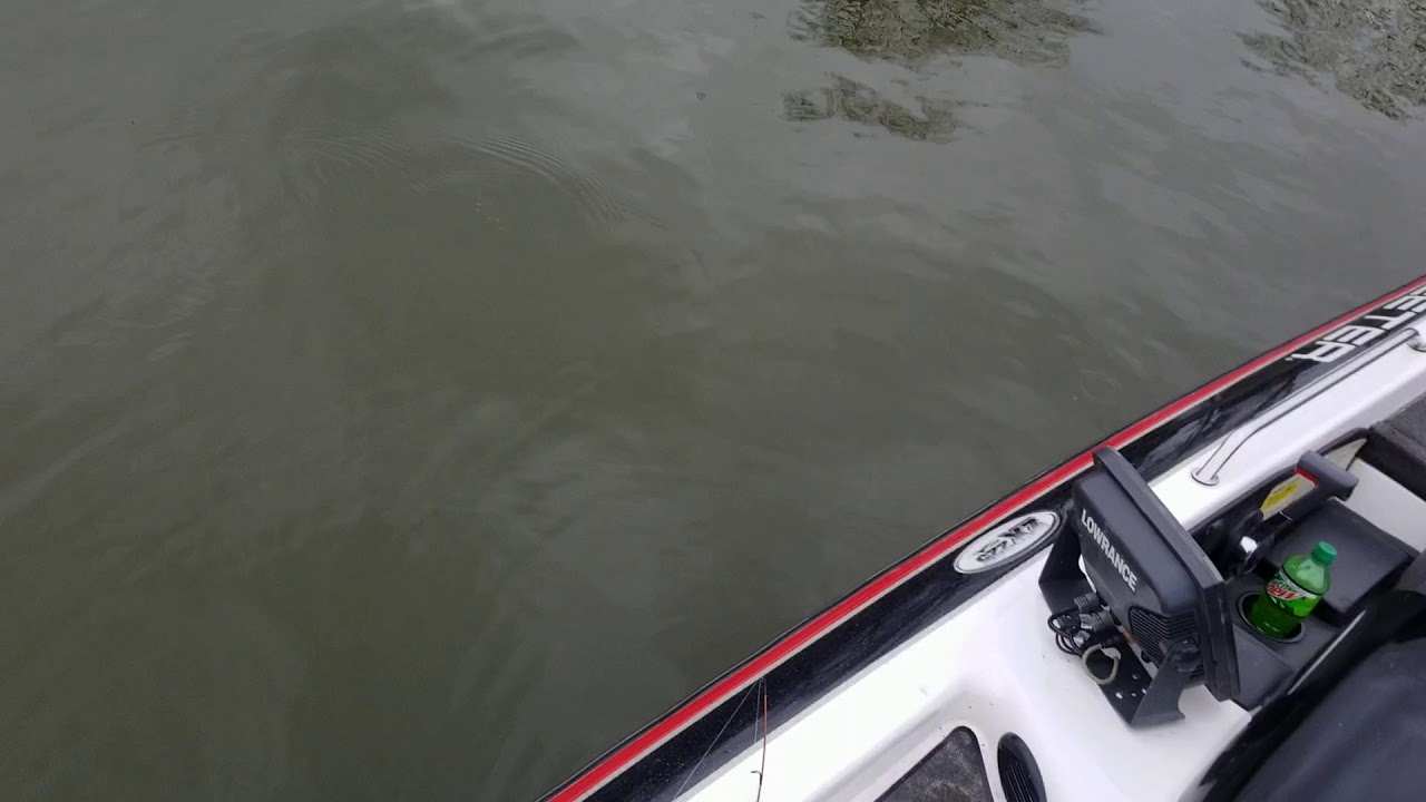 12lb catfish on a jig - YouTube