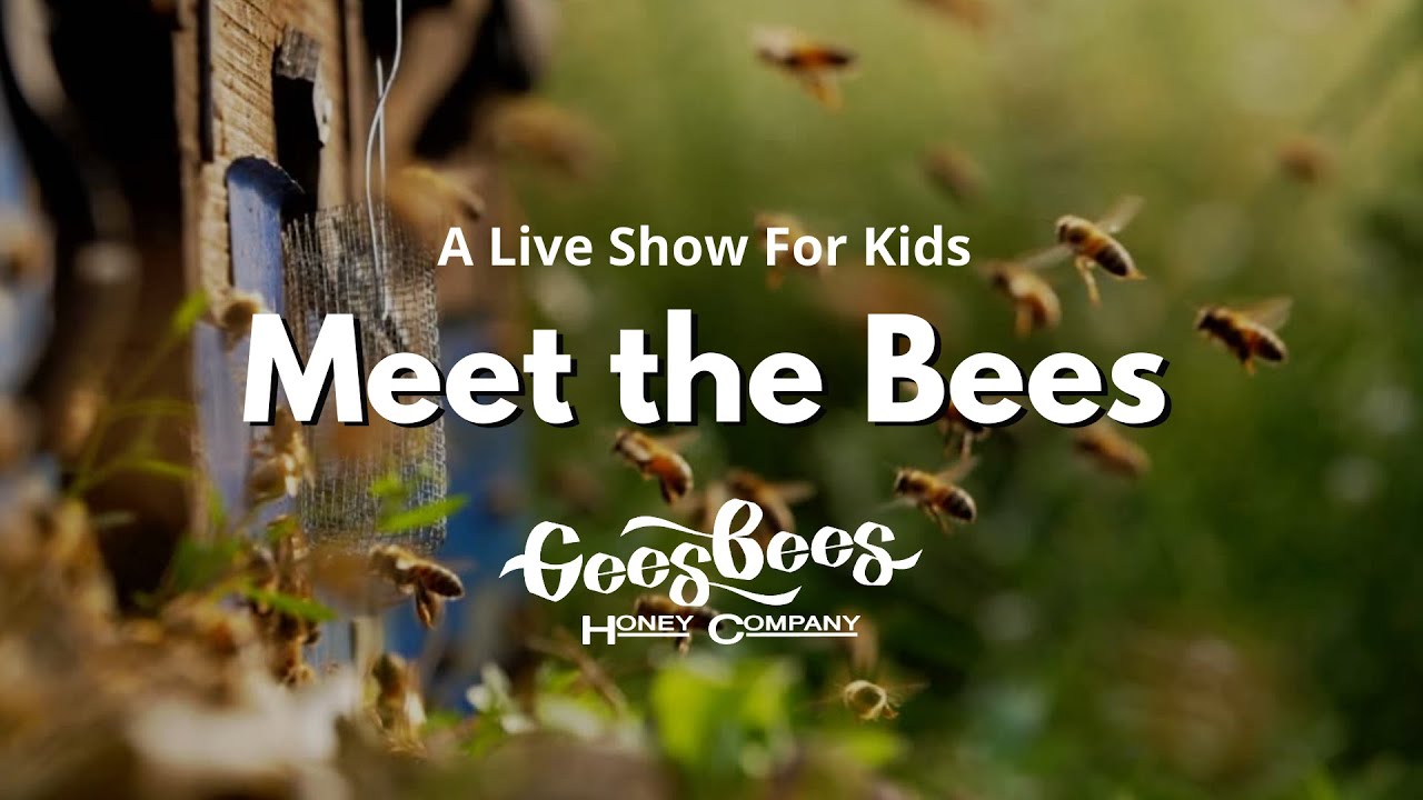 Gees Bees - Meet the Bees Inside the Hive - YouTube