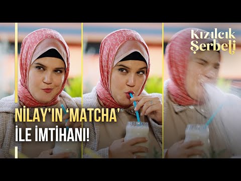 Nilay matcha’yı içtiği gibi püskürtüyor! | Kızılcık Şerbeti 110. Bölüm