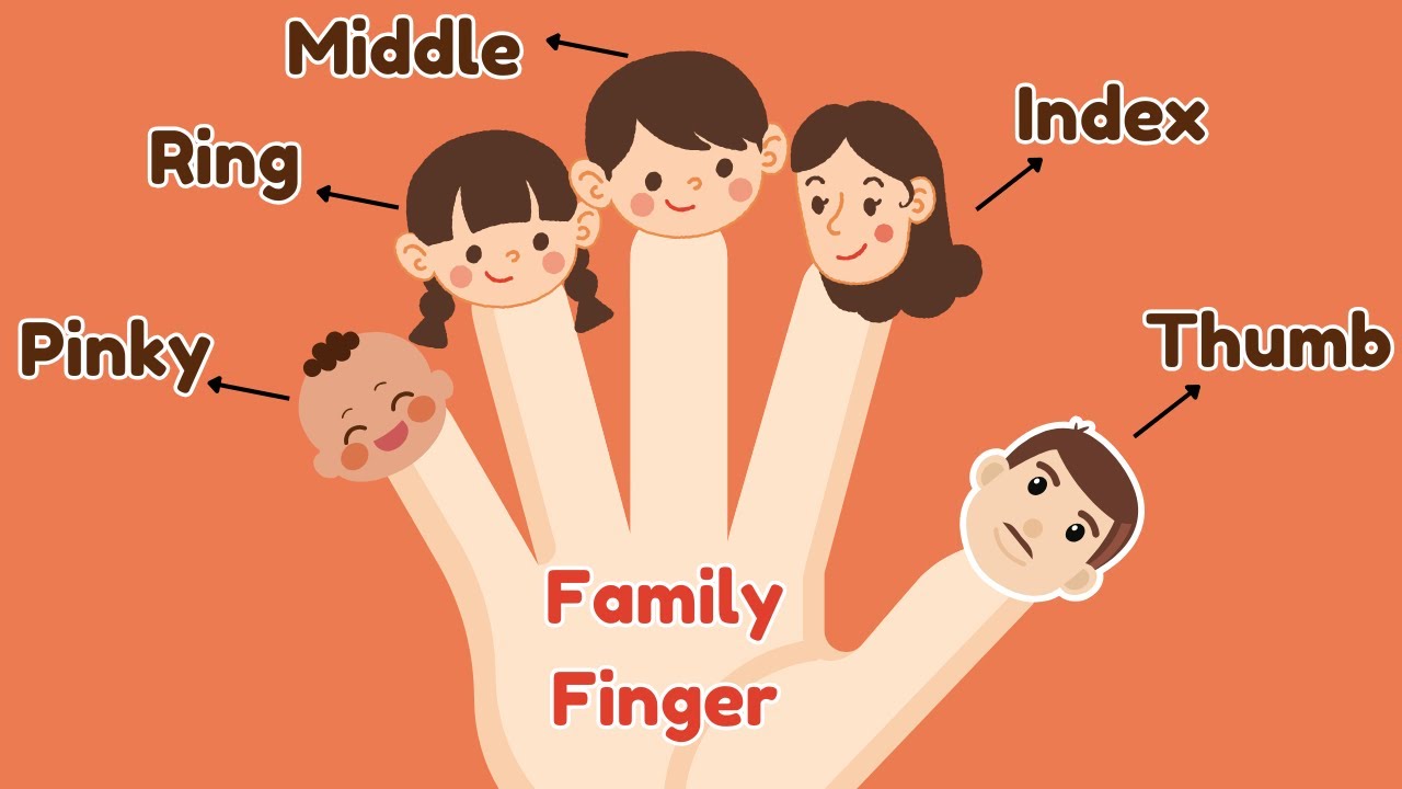 Finger Family Song | Learn Finger Name | Nursery Rhymes & Kids Songs ...