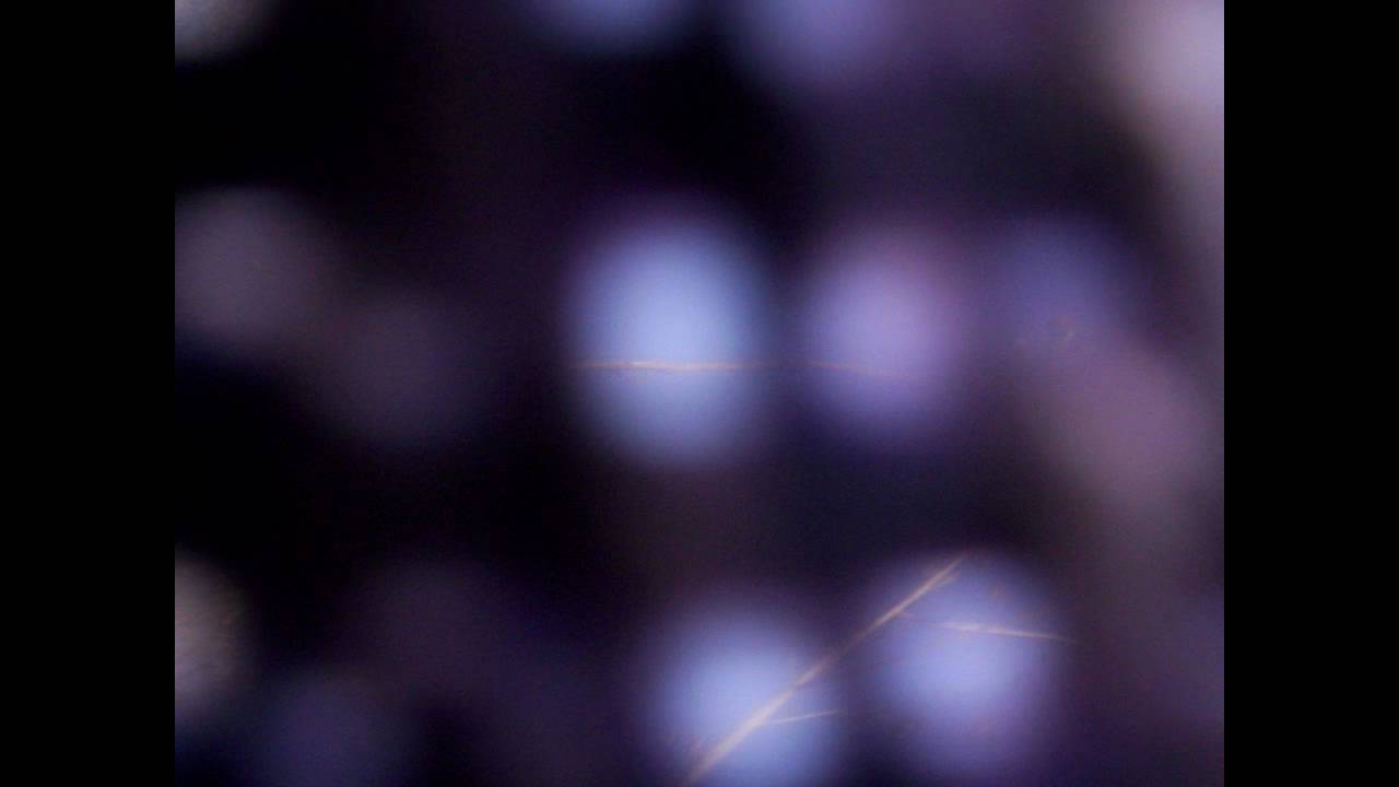 The Color Bars - All Your Kitchen Ghosts - YouTube