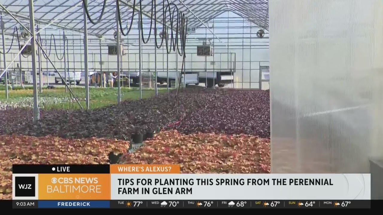 The Perennial Farm in Baltimore County has tips for your Spring ...