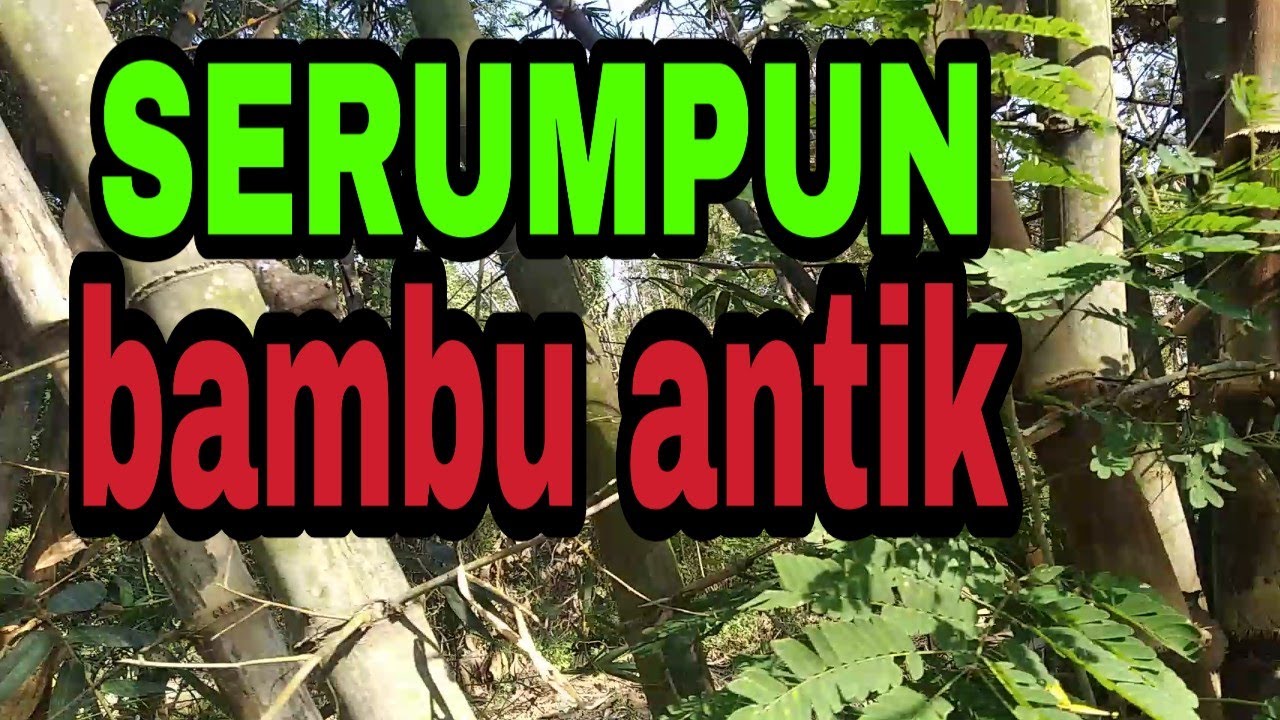 SERUMPUN bambu antik - YouTube