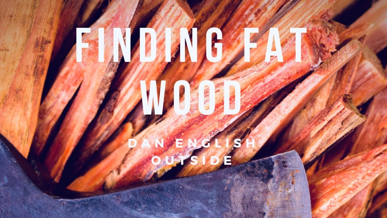 Finding Fat Wood And A Burn Test. - YouTube