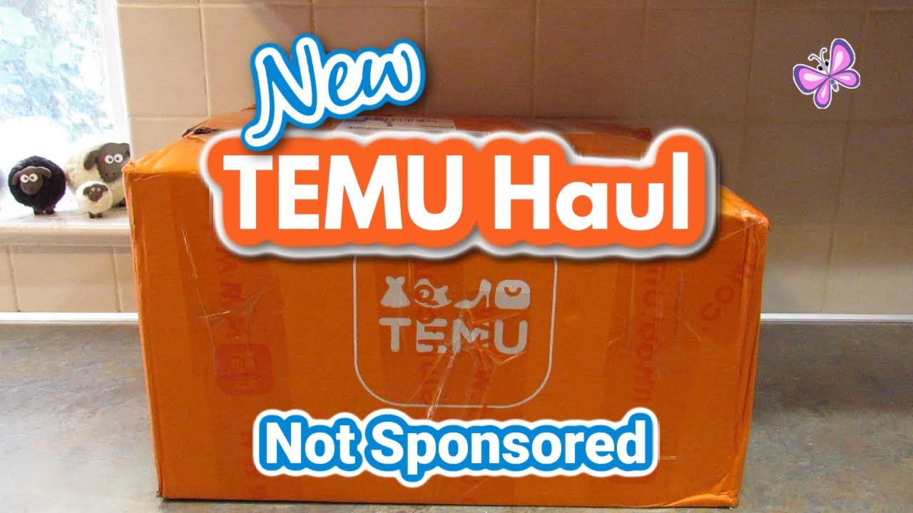 New TEMU Haul! NOT SPONSORED! Check out all the fun things I got! - YouTube