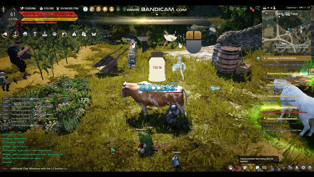 How to get Milk in BDO ~ - YouTube