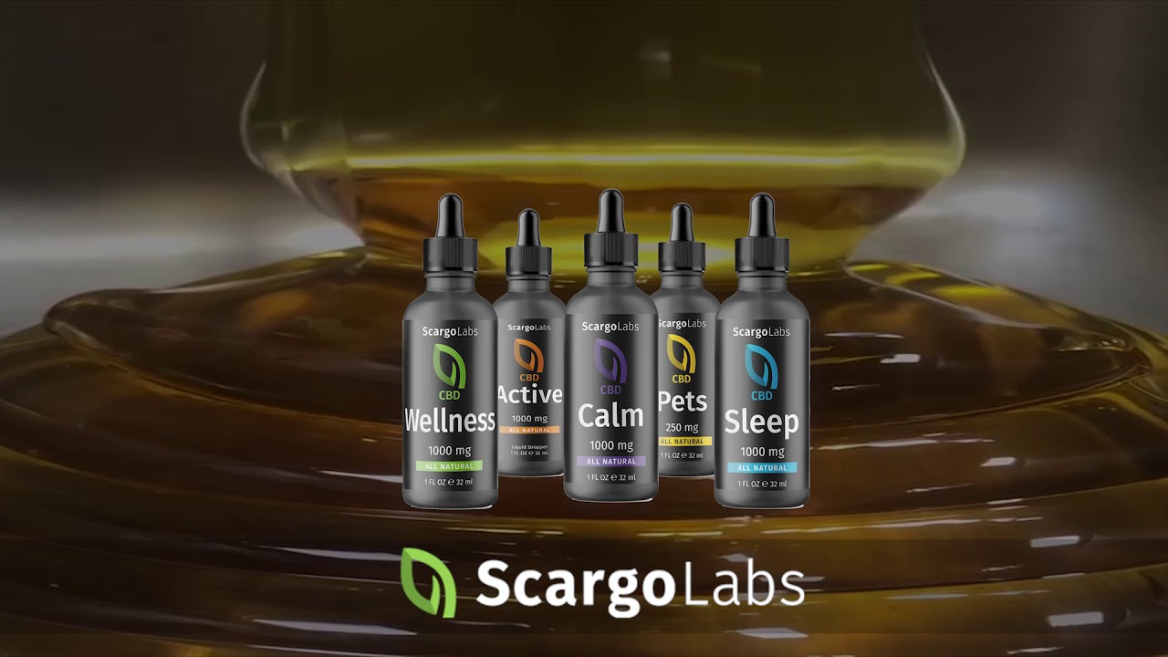 Scargo Logo - YouTube