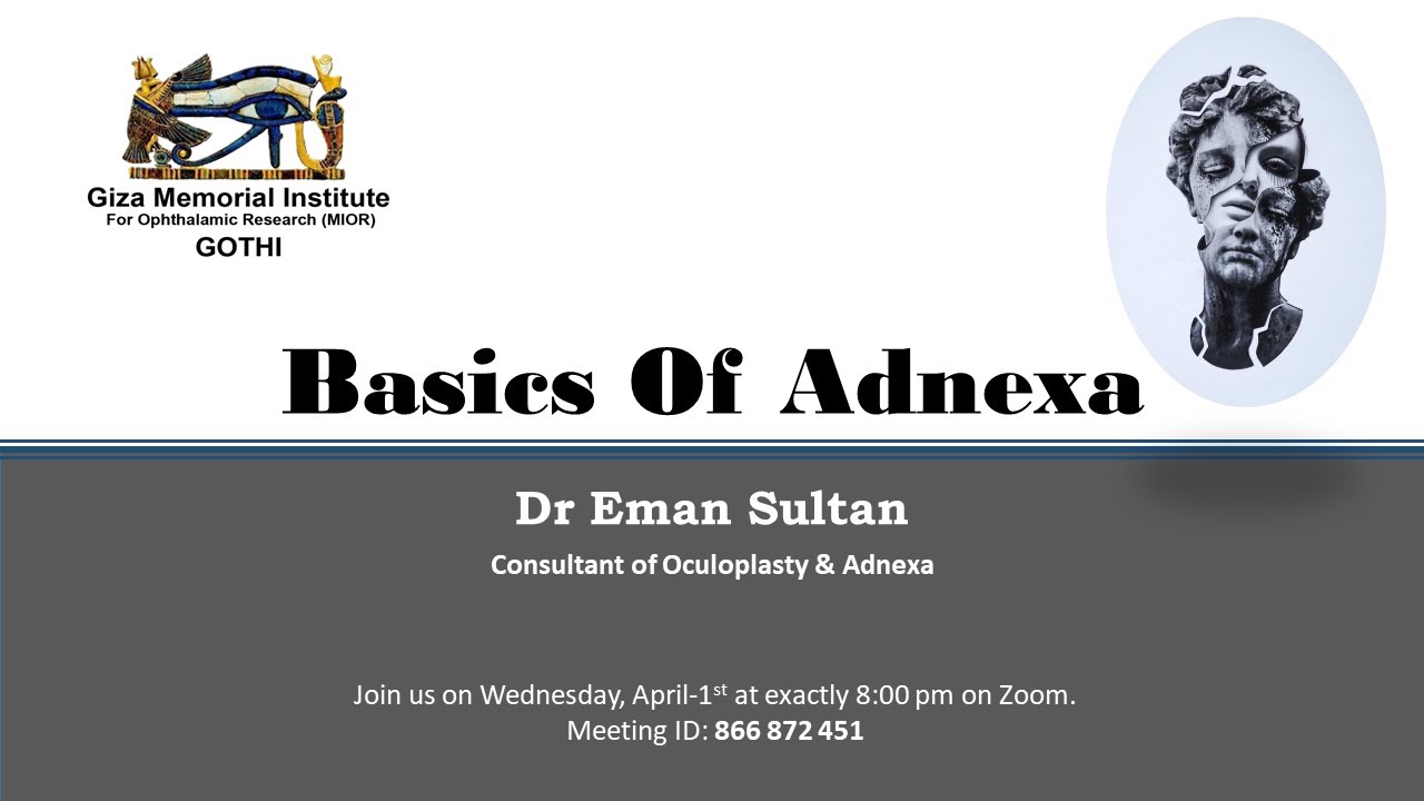 Basics Of Adnexa - YouTube