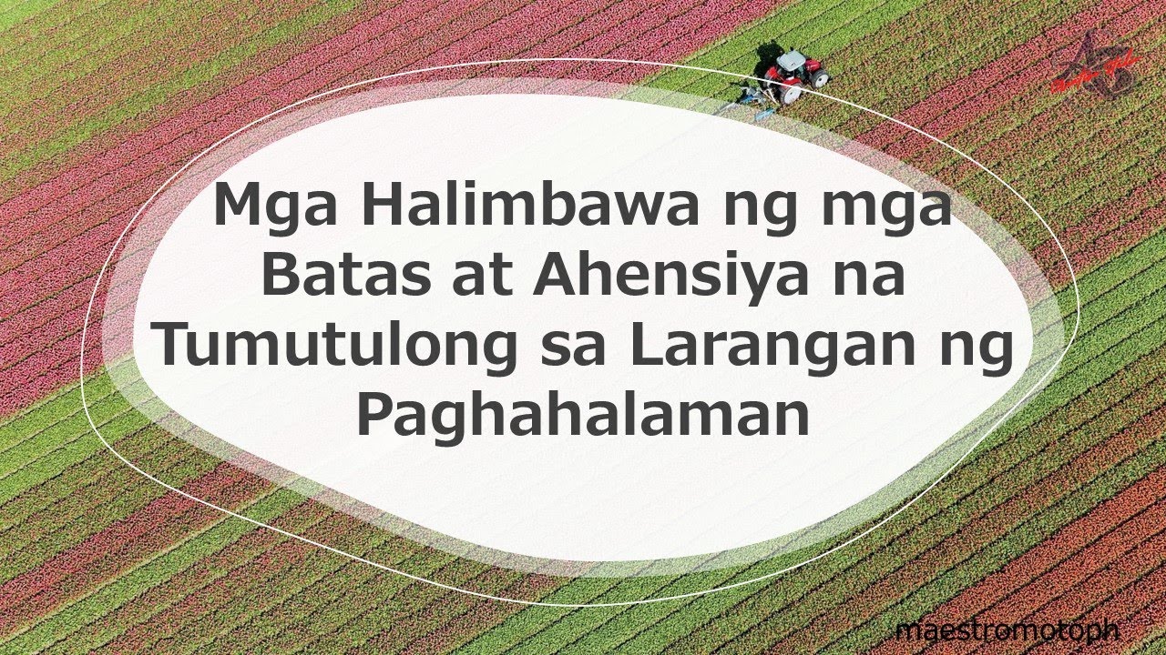 Grade 4 Q2 AFA Week 2 Day 1&2 Mga Halimbawa ng mga Batas at Ahensiya na ...