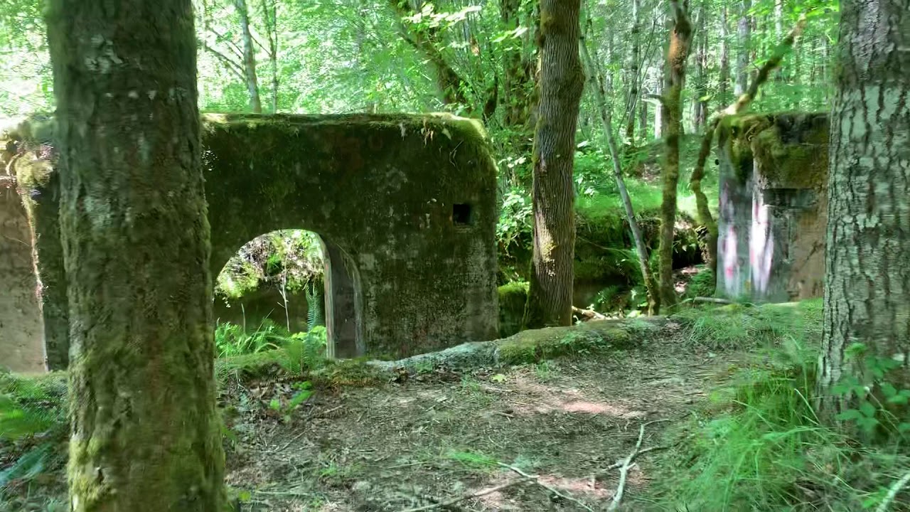 Exploring In The Ghost Town Of Wendling, Oregon - YouTube