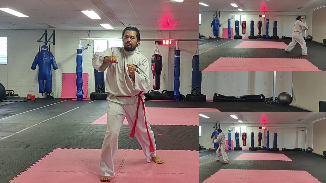 SILAT PERISAI DIRI - HARIMAU (TIGER) TECHNIQUE FOR BEGINNERS - YouTube