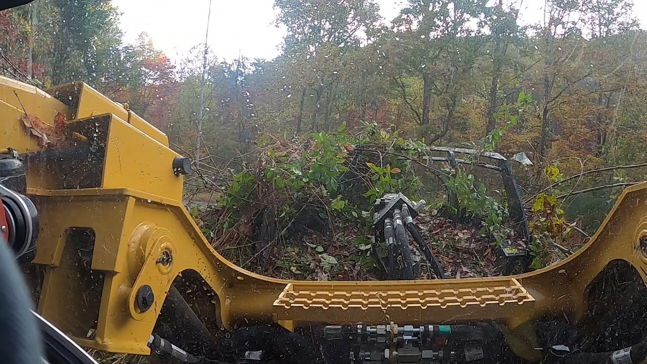 Cat 299D3 Running BRX418 in Medium Brush with Thick Undergrowth - YouTube