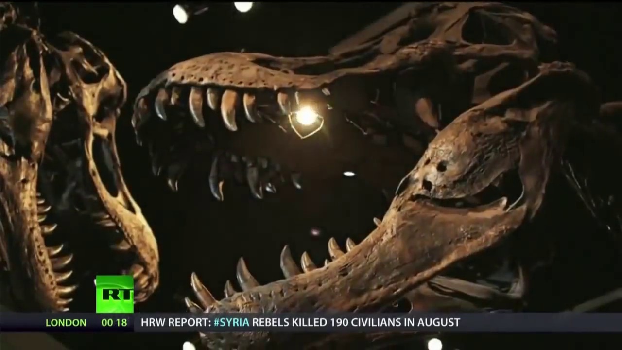 Human Extinction By 2030 - the Last Hours of Humanity - YouTube