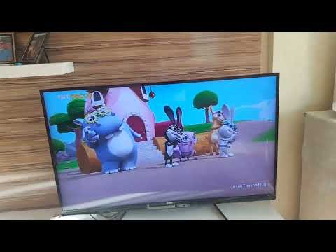 akıllı tavşan Momo Gözlüğünü seviyorum şarkısı TRT Çocuk televizyondan TV'de ilk kez