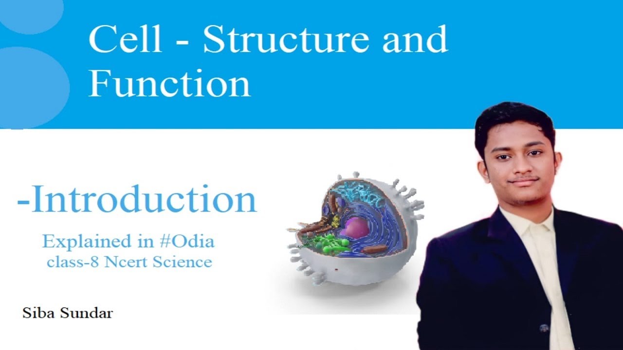 Cell - Structure and Function 01; Cells | class 8 | NCERT - YouTube