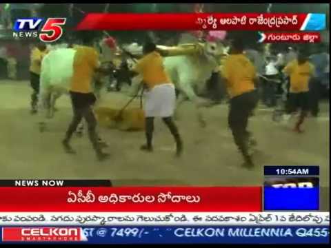 Alapati Siva rama krishna Memorial, " Ox " Strength Competitions ...