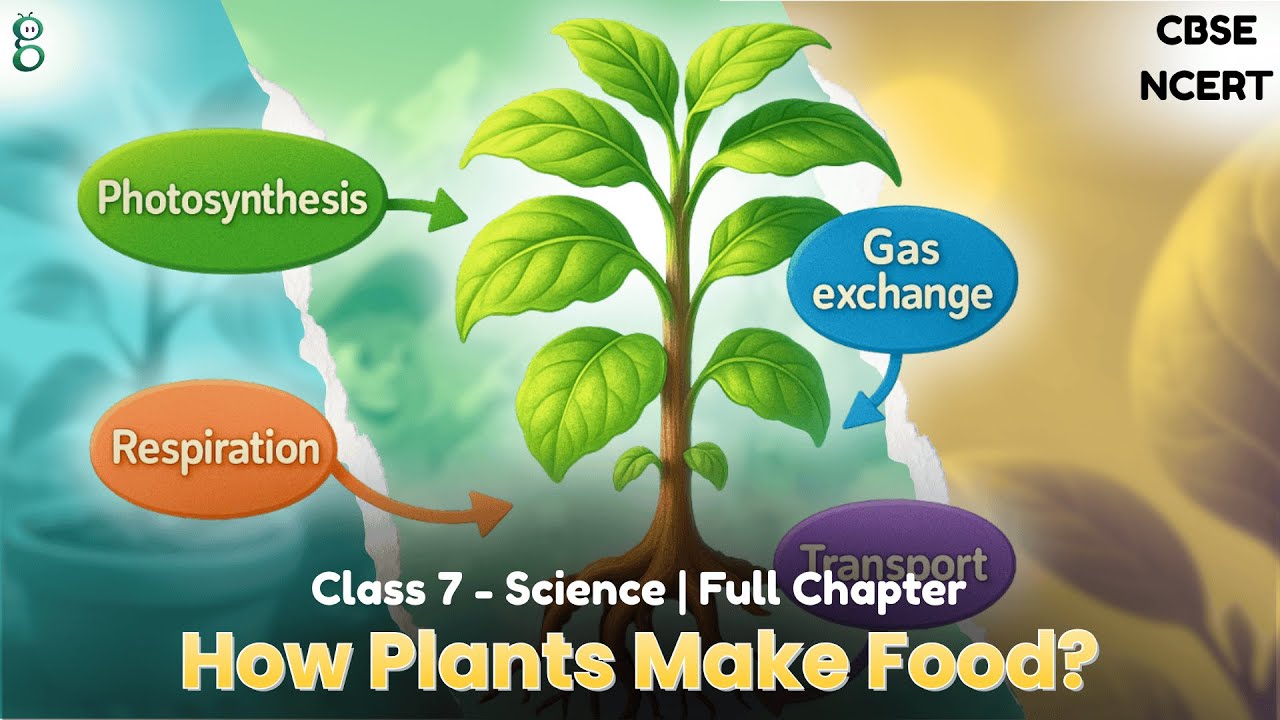 Class 7 Science | Chapter 10 | Life Processes in Plants | NCERT - CBSE ...