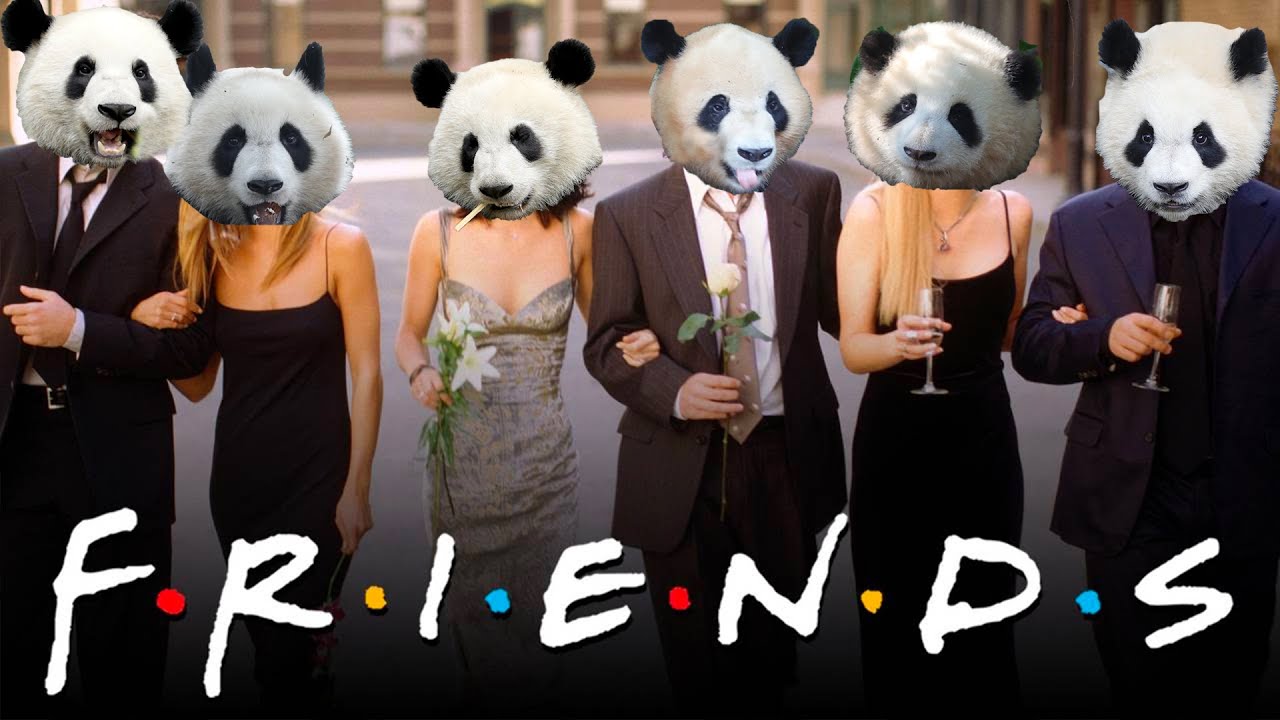 【If Pandas Can Talk】Episode 11 Friends In Panda Universe | iPanda - YouTube