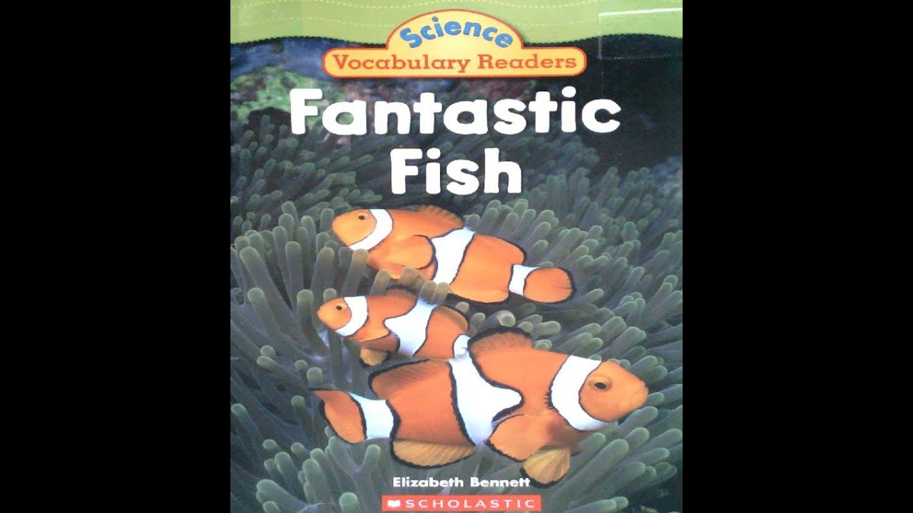 Fantastic Fish Read Aloud - YouTube